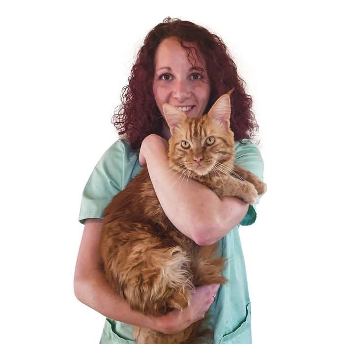 Unser Team – mit Herz und Kompetenz | VET Chemnitz