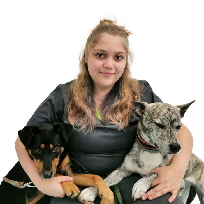 Unser Team – mit Herz und Kompetenz | VET Chemnitz