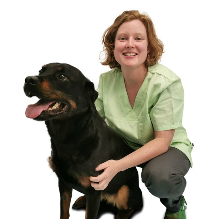 Unser Team – mit Herz und Kompetenz | VET Chemnitz