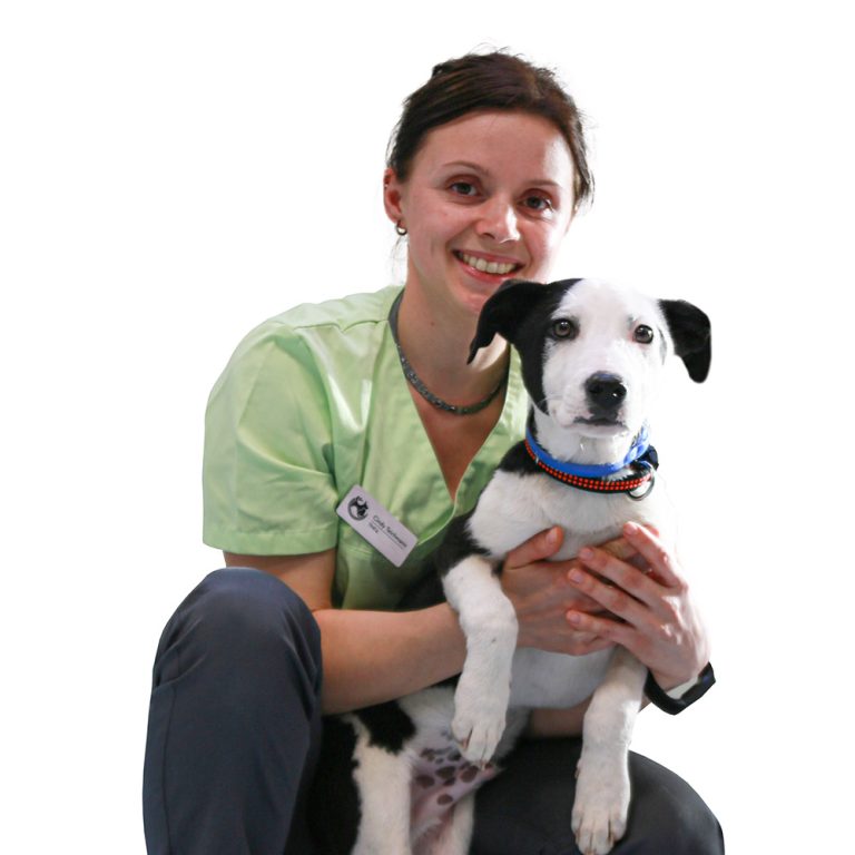 Unser Team – mit Herz und Kompetenz | VET Chemnitz