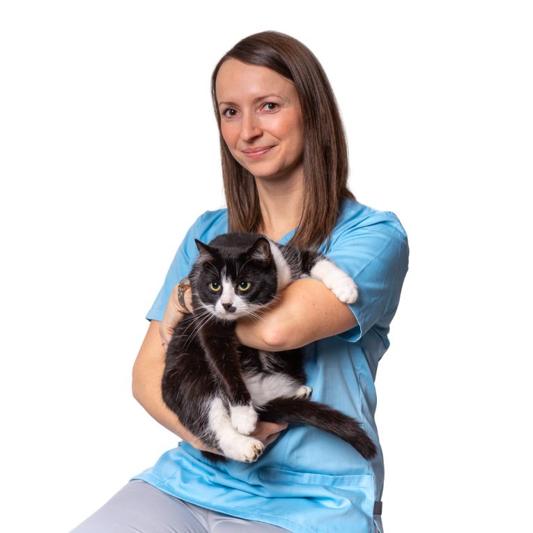 Unser Team – mit Herz und Kompetenz | VET Chemnitz