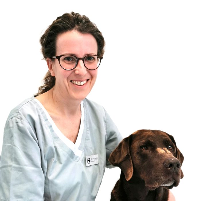 Unser Team – mit Herz und Kompetenz | VET Chemnitz