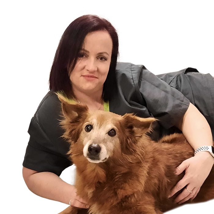 Unser Team – mit Herz und Kompetenz | VET Chemnitz