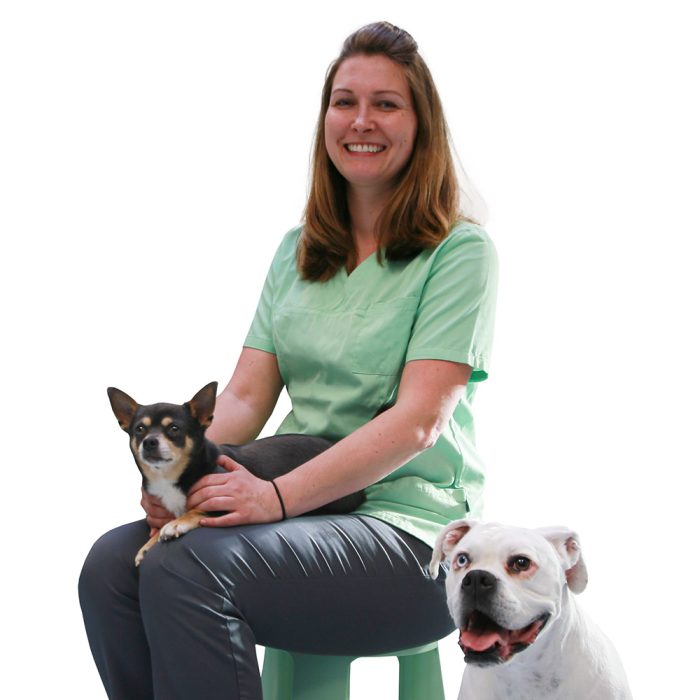 Unser Team – mit Herz und Kompetenz | VET Chemnitz