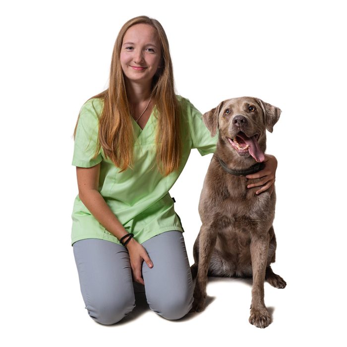 Unser Team – mit Herz, Haltung und Kompetenz | VET Chemnitz