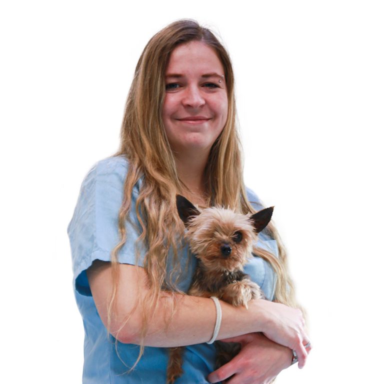 Unser Team – mit Herz, Haltung und Kompetenz | VET Chemnitz