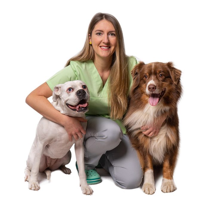 Unser Team – mit Herz und Kompetenz | VET Chemnitz