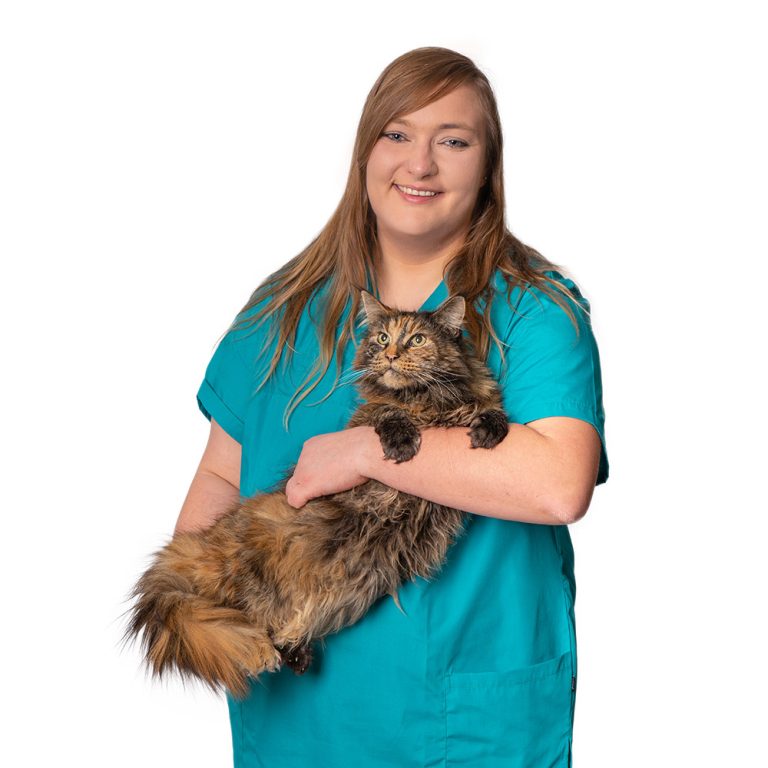 Unser Team – mit Herz und Kompetenz | VET Chemnitz