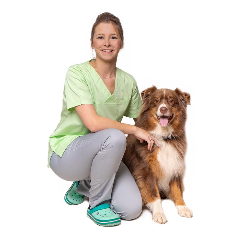 Unser Team – mit Herz und Kompetenz | VET Chemnitz