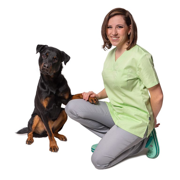 Unser Team – mit Herz und Kompetenz | VET Chemnitz