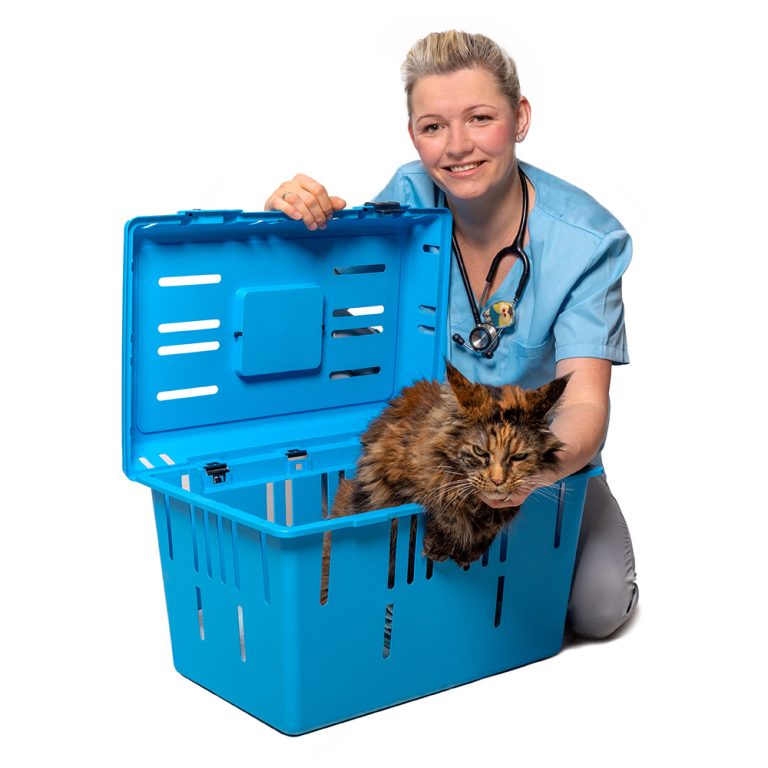 Unser Team – mit Herz und Kompetenz | VET Chemnitz