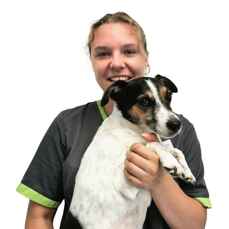 Unser Team – mit Herz und Kompetenz | VET Chemnitz