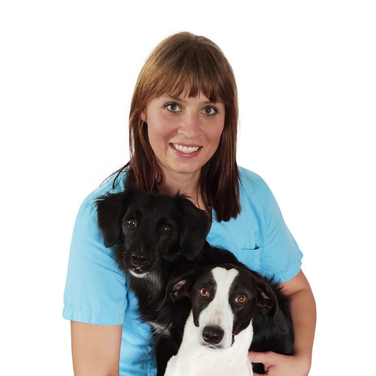 Unser Team – mit Herz und Kompetenz | VET Chemnitz