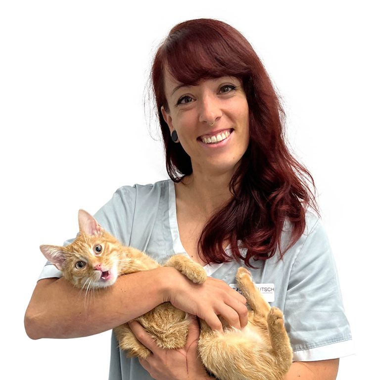 Unser Team – mit Herz und Kompetenz | VET Chemnitz