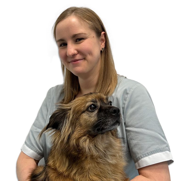 Unser Team – mit Herz und Kompetenz | VET Chemnitz