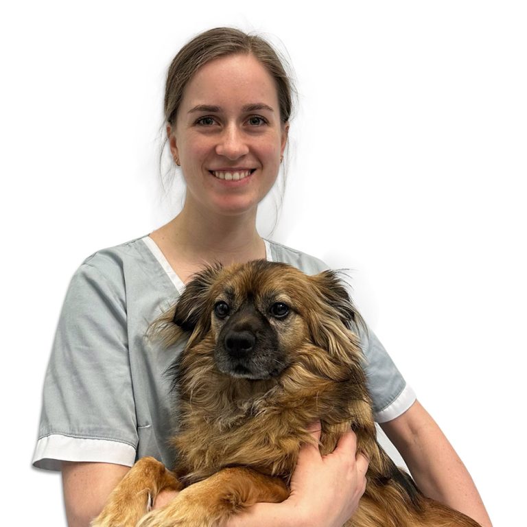 Unser Team – mit Herz und Kompetenz | VET Chemnitz