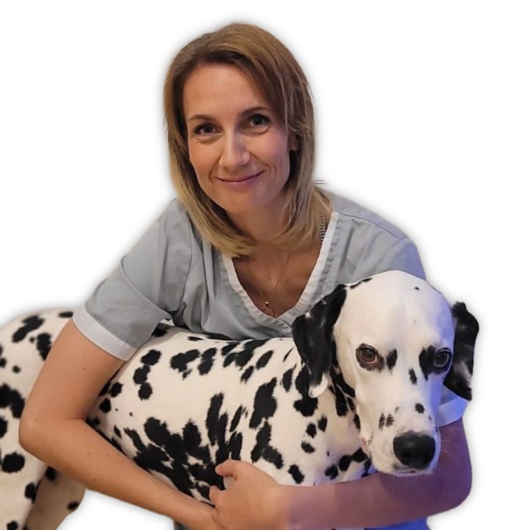 Unser Team – mit Herz und Kompetenz | VET Chemnitz