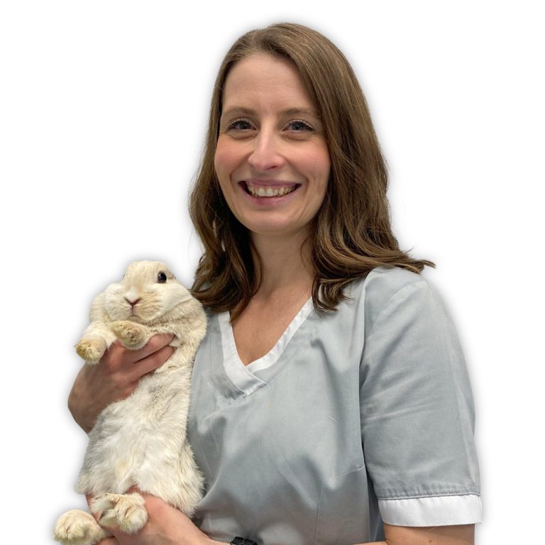 Unser Team – mit Herz und Kompetenz | VET Chemnitz