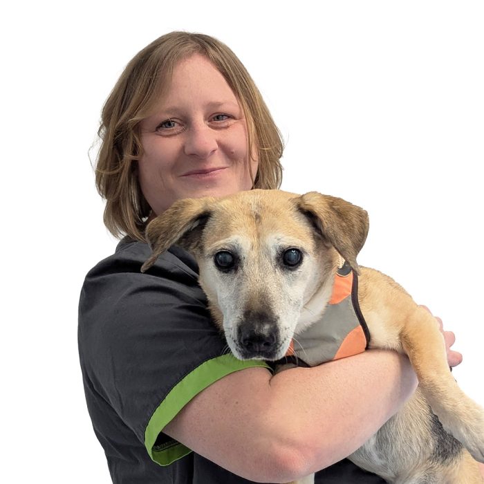 Unser Team – mit Herz und Kompetenz | VET Chemnitz